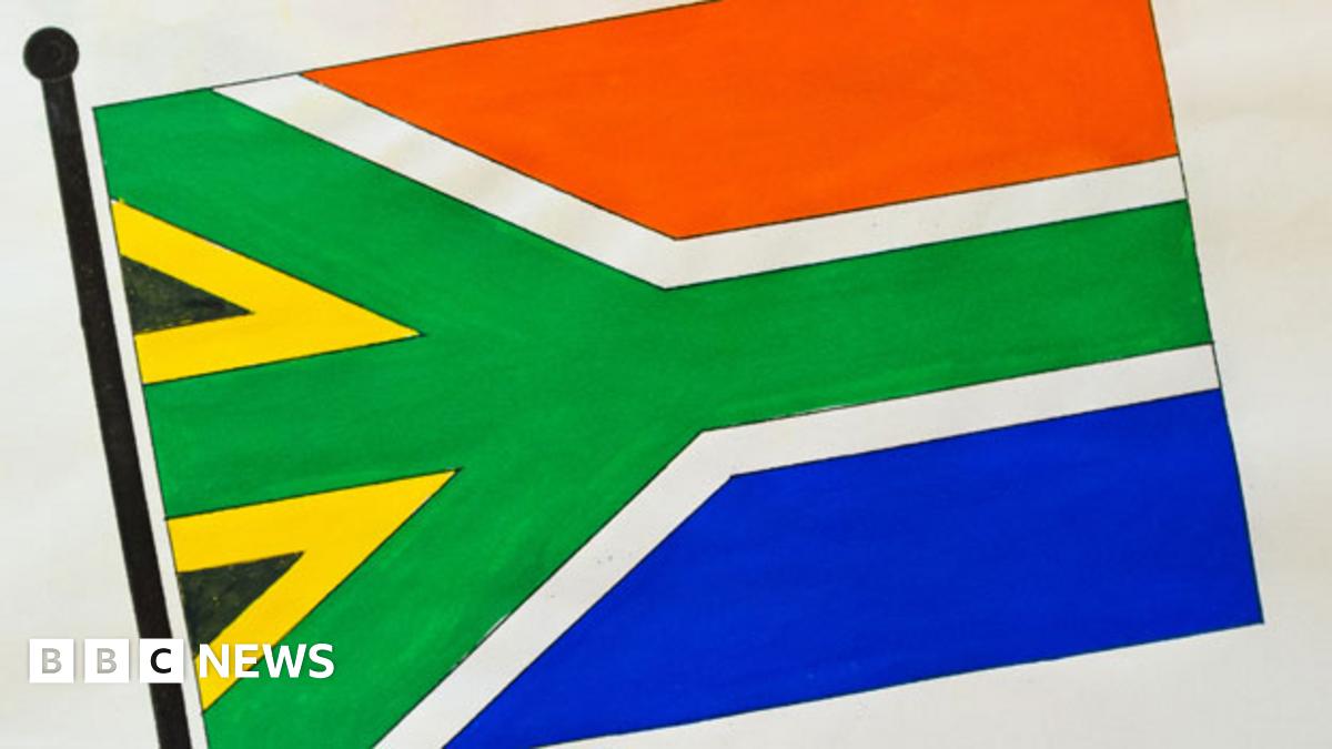 Fred Brownell: The man who made South Africa's flag - BBC News