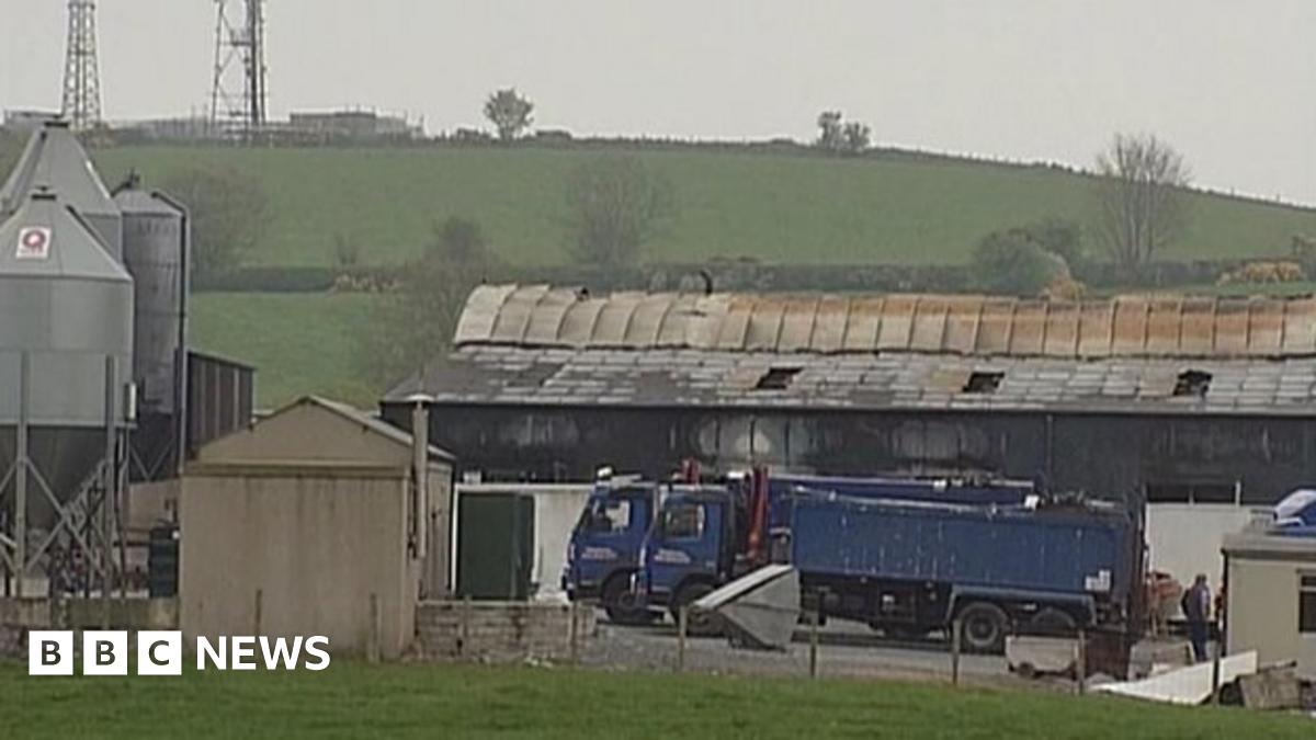Pig farm fire: Thousands of pigs killed in County Armagh blaze - BBC News
