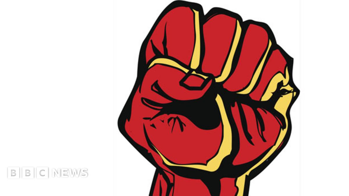 The curious survival of the US Communist Party - BBC News