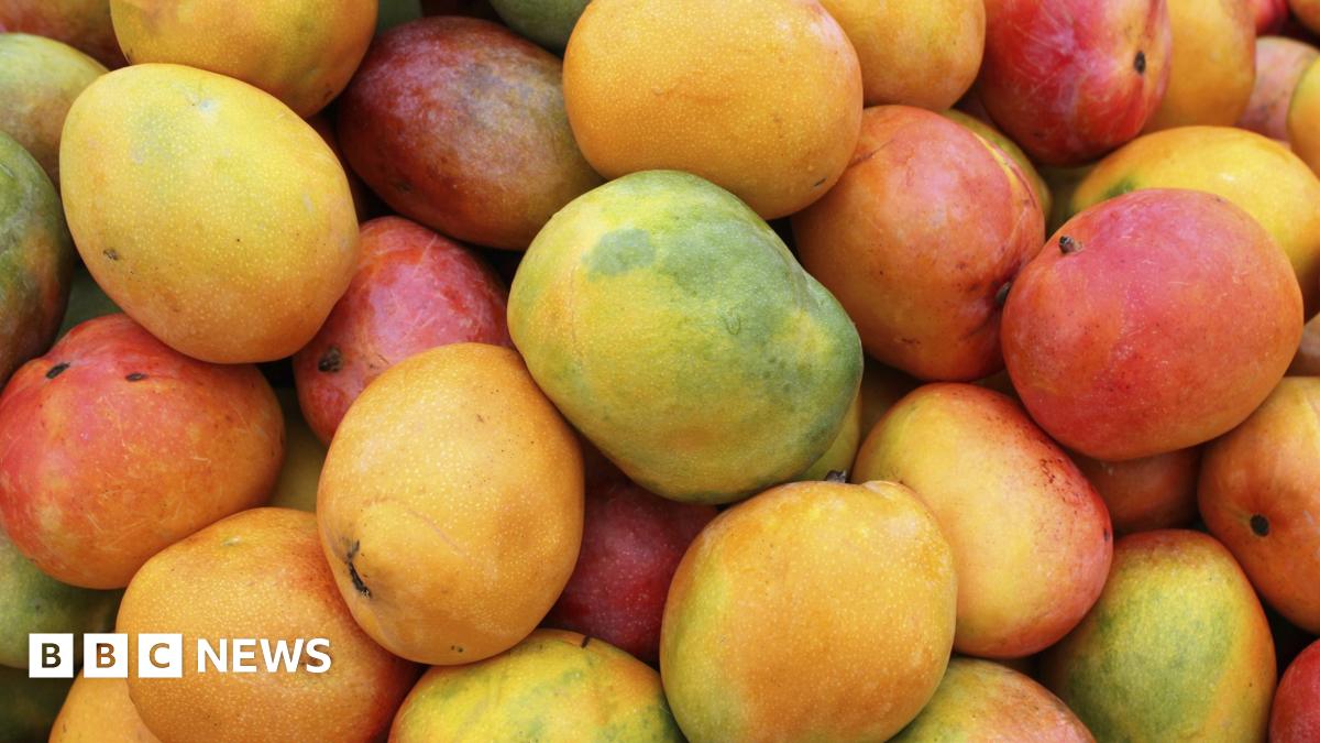 Who, What, Why: Why are Indian mangoes so popular? - BBC News