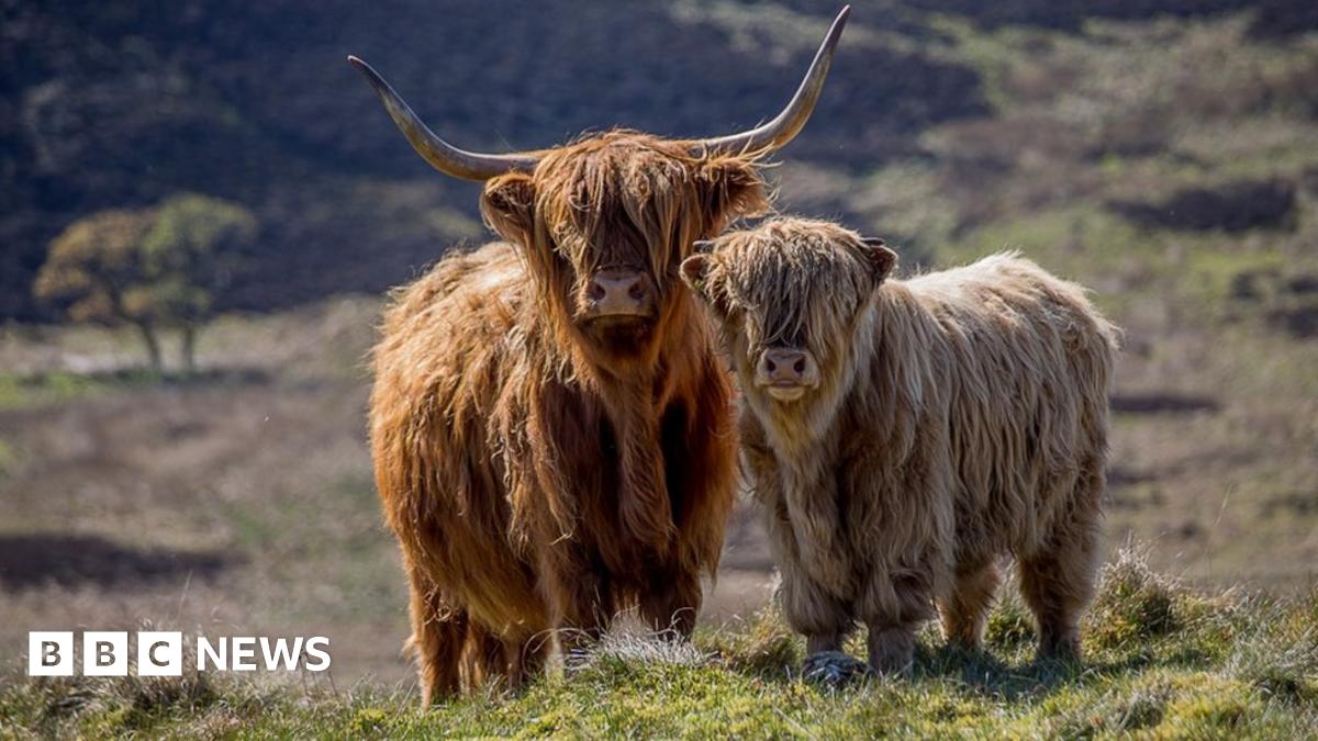 Your pictures of Scotland: 25 April - 2 May - BBC News