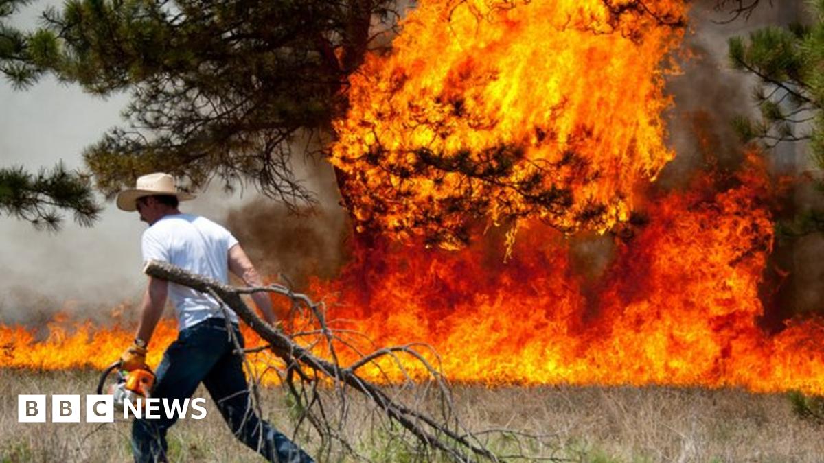 Warming 'increasingly disruptive' across US - report - BBC News
