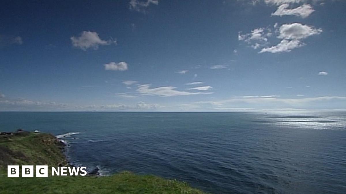 Navitus Bay wind farm considered by Bournemouth councillors - BBC News