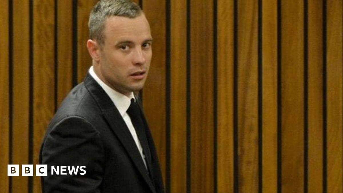 Pistorius trial: Doubts raised over ballistics evidence - BBC News