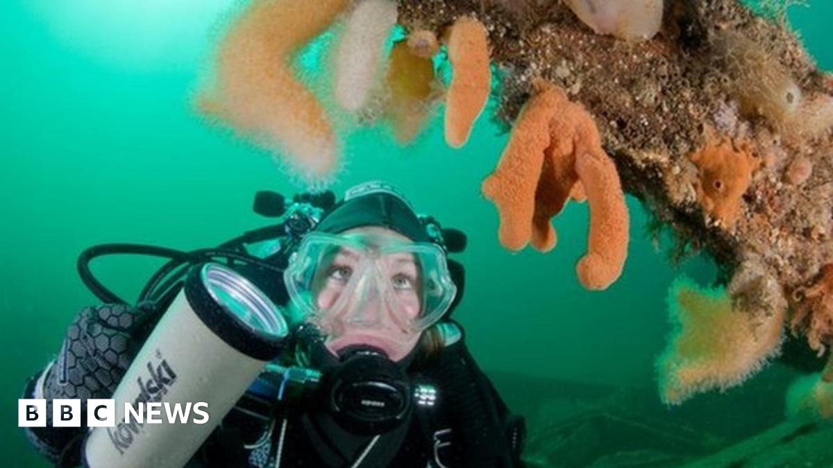 Into the deep: How Scottish students became underwater explorers - BBC News
