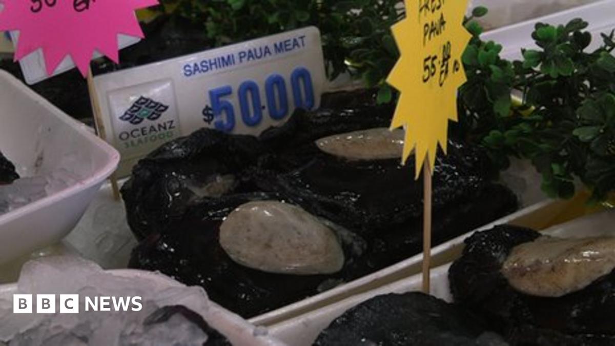 Why abalone is New Zealand's catch of the day - BBC News