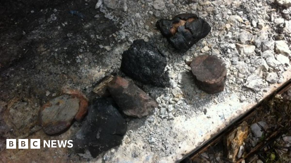 Ancient Brymbo Forest fossils ruined in arson attack - BBC News