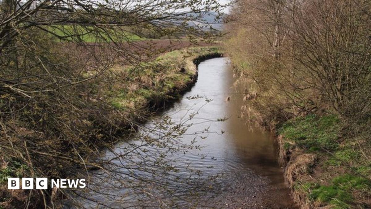 Scottish Water fined after fish killed by chemical leak - BBC News