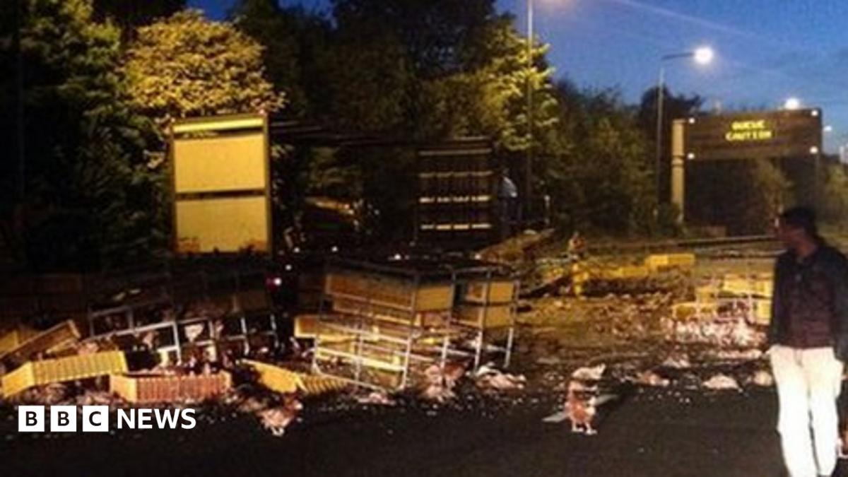 Hundreds of chickens killed in M62 lorry crash - BBC News