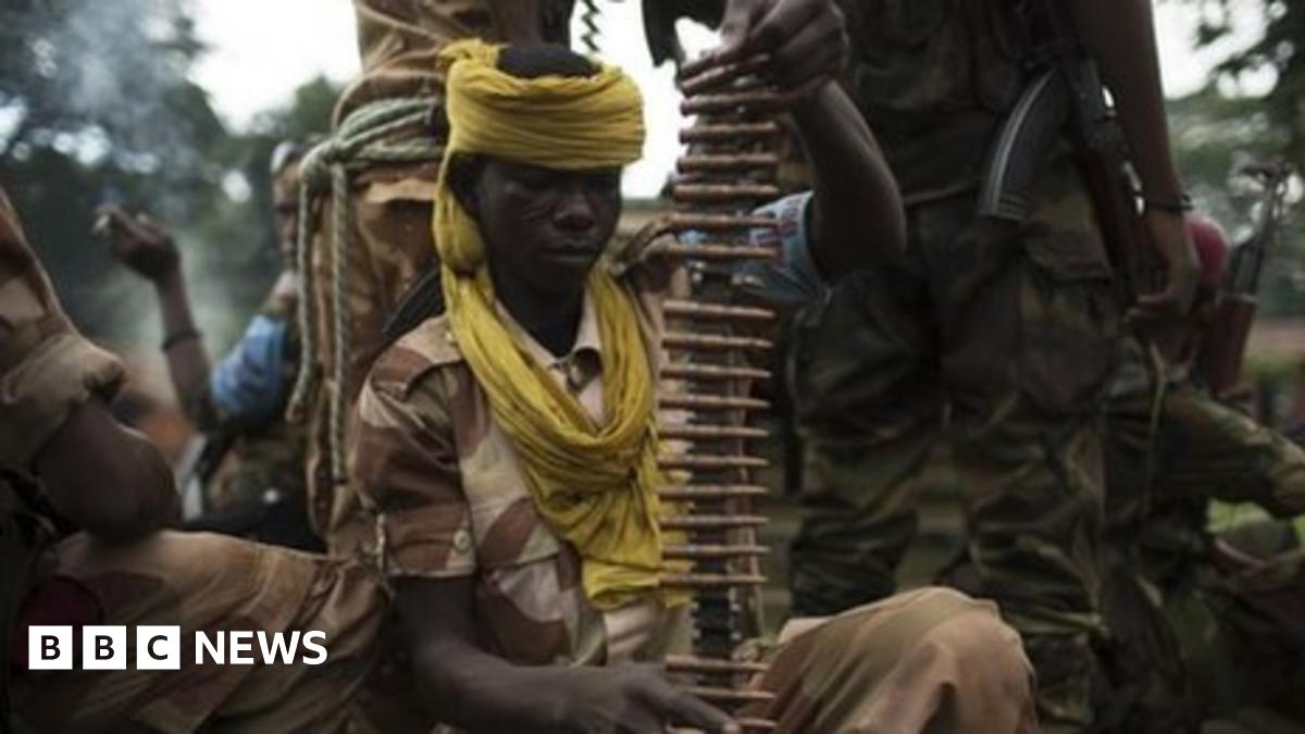 Central African Republic's Seleka rebels reorganise - BBC News
