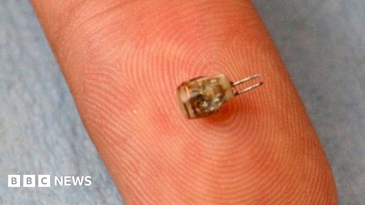 Wireless pacemaker placed in rabbit - BBC News