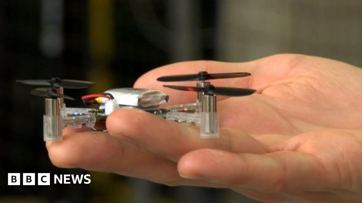 Flying robots: Nature inspires next generation design - BBC News