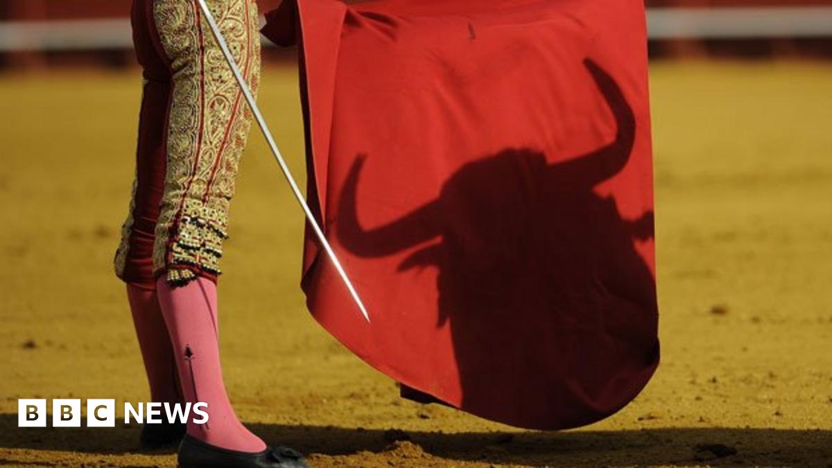 Who, What, Why: How dangerous is bullfighting? - BBC News