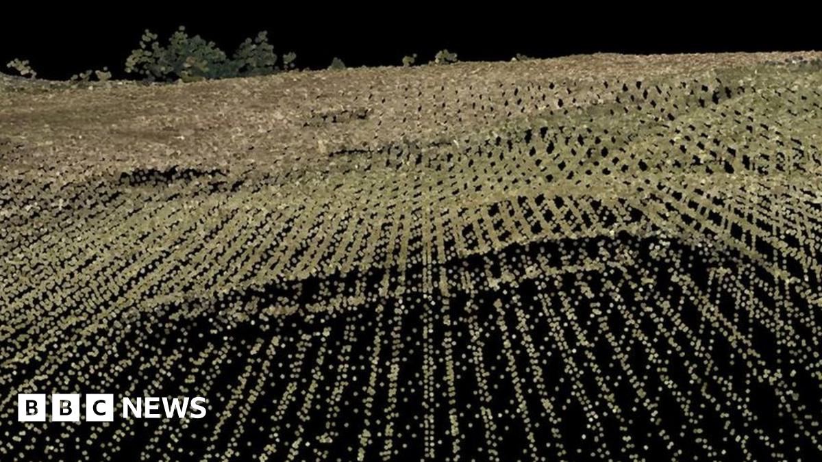 Aerial laser scan shows ruined longhouse in Sutherland - BBC News