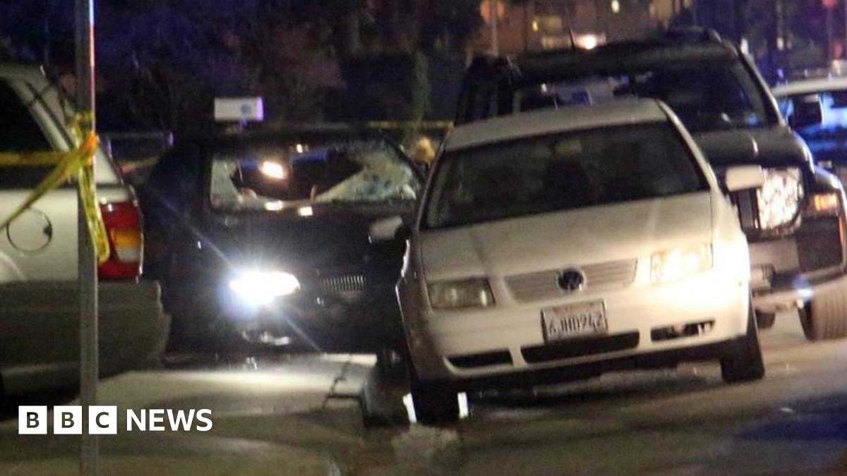 California gunman 'was film-maker Peter Rodger's son' - BBC News