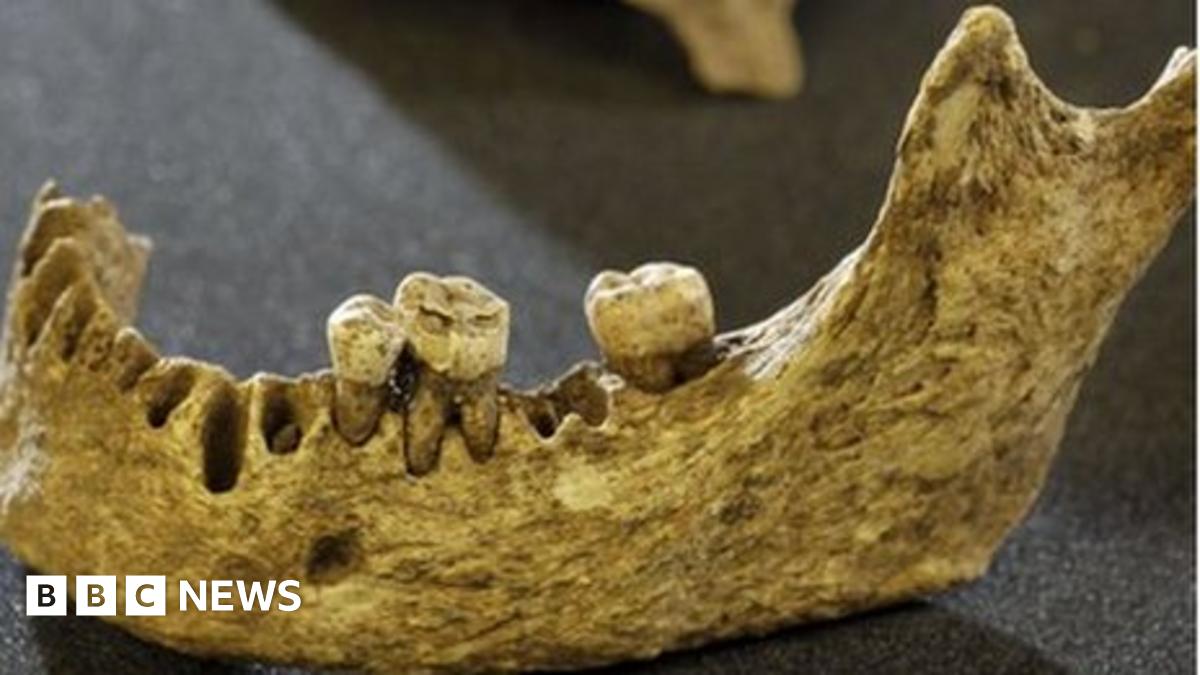 East Lothian skeleton may be 10th Century Irish Viking king - BBC News
