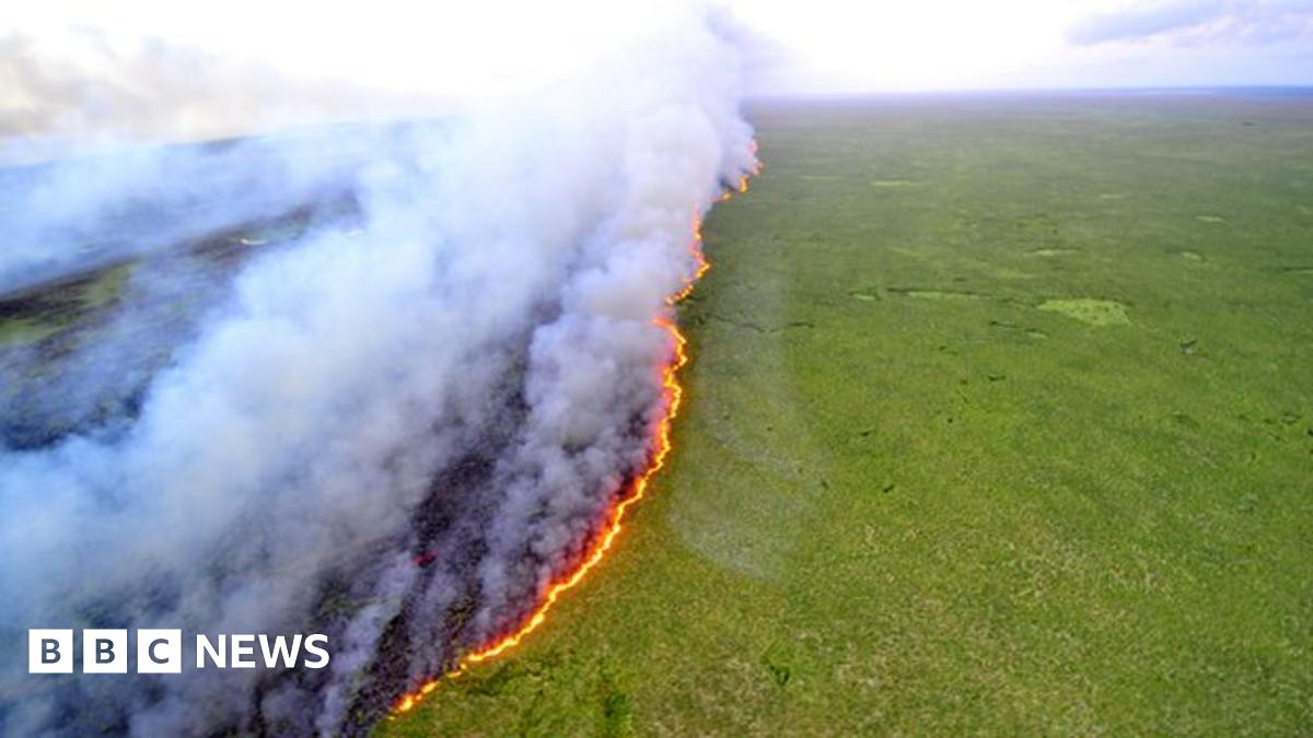 'Alternate vision' sought on climate - BBC News