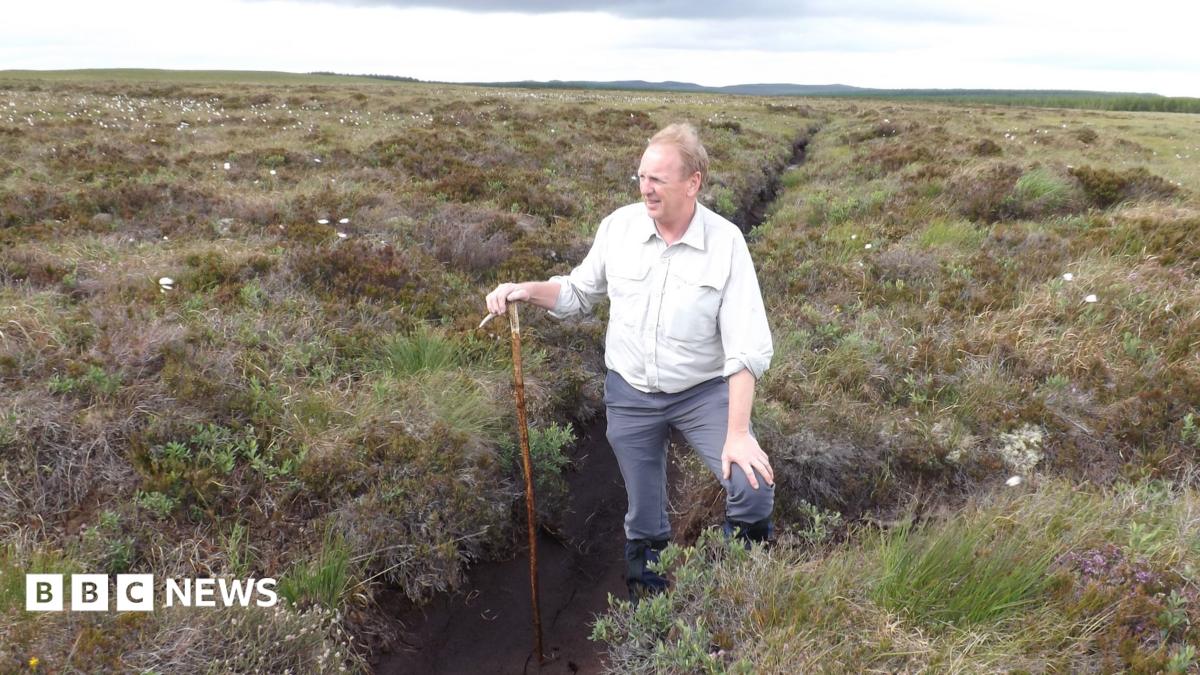 SSE says Strathy South project will restore peat bog - BBC News