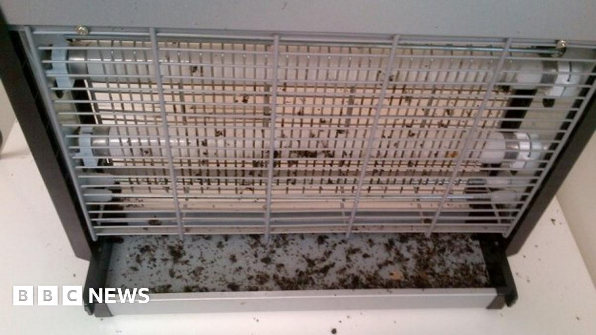 Rushden Monoworld building approved after fly plague row - BBC News