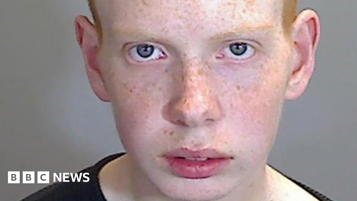 Castle Mall hoax bomb threat teen sentenced - BBC News