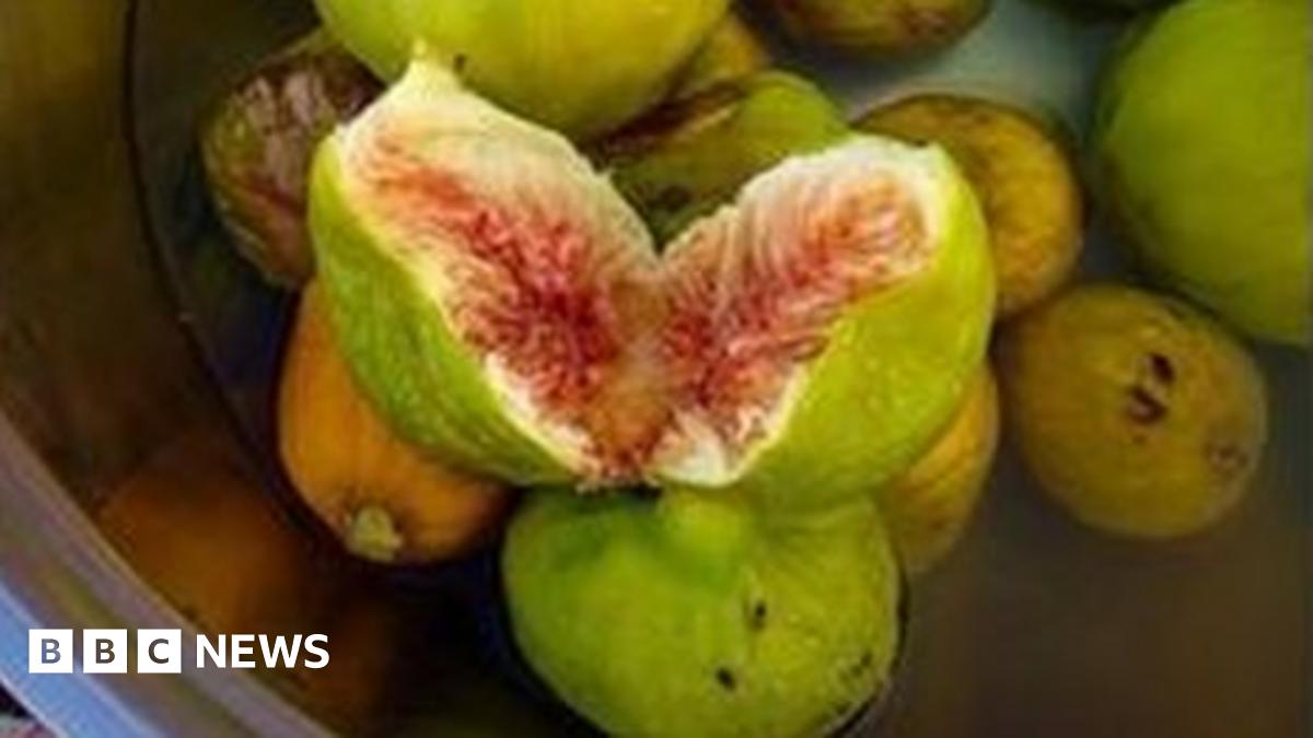 #BBCtrending: Amid chaos, Libyans look on the bright side - BBC News