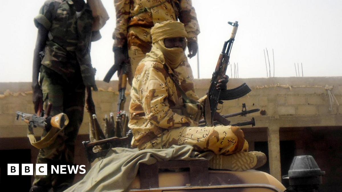 Mali unrest: Chad peacekeepers killed in Kidal region - BBC News
