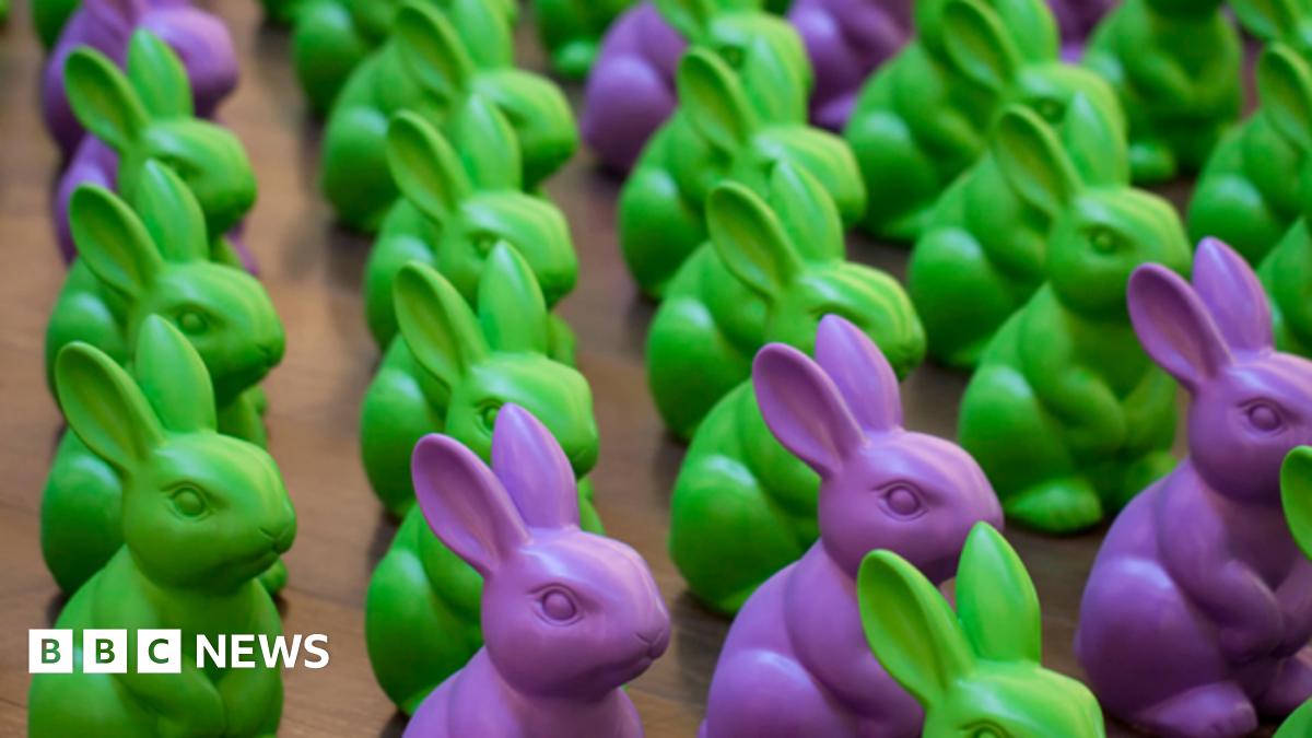 Who, what, why: What is the UK's rabbit population? - BBC News