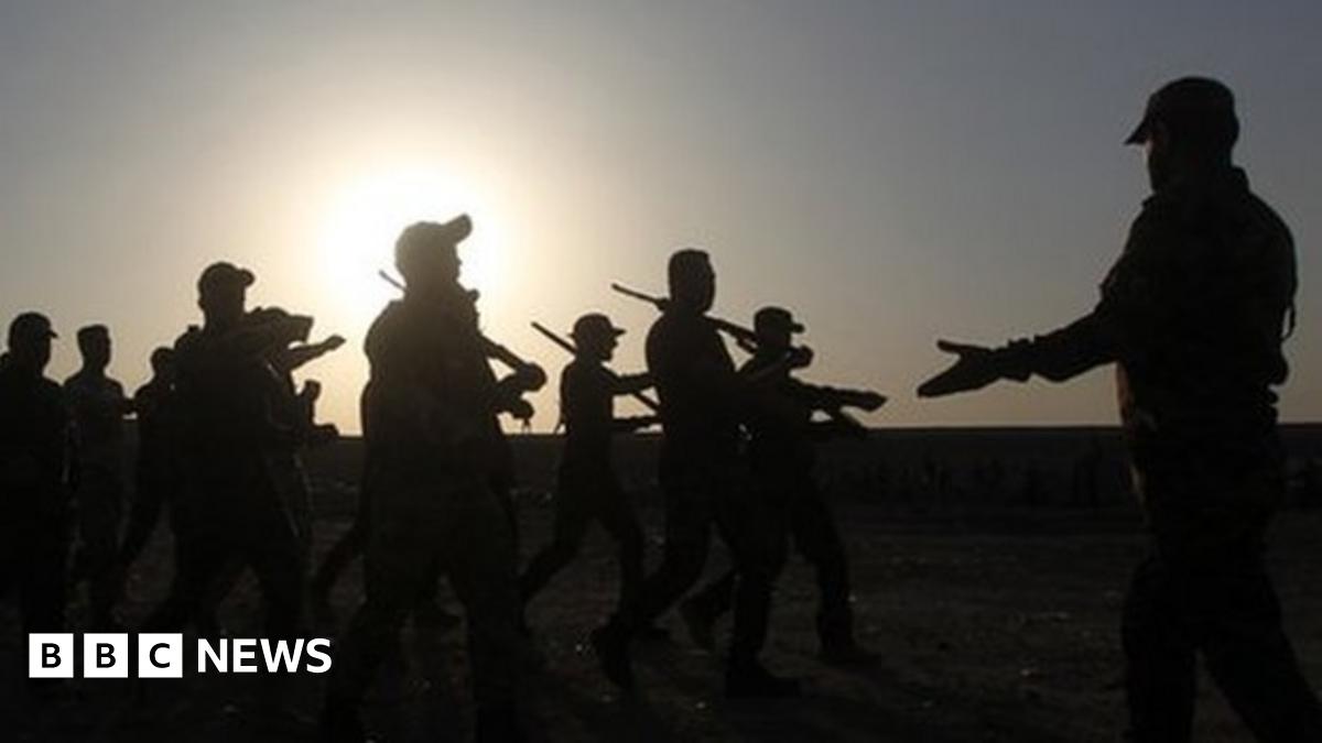 Iraq: Can US military advisers help ease crisis? - BBC News