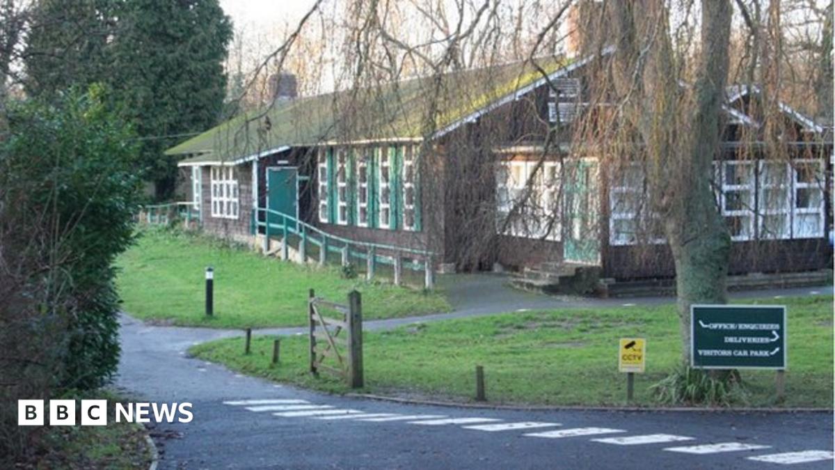Sayers Croft children join fight to stop housing development - BBC News