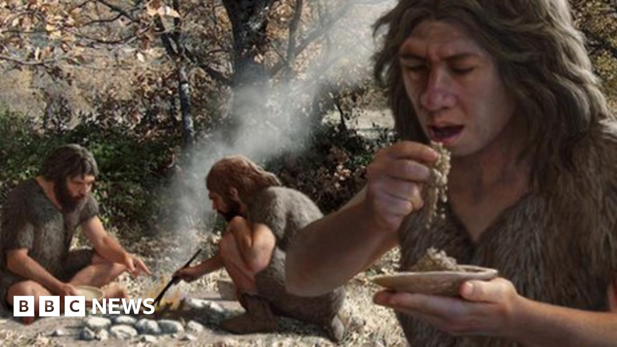 Oldest human faeces show Neanderthals ate vegetables - BBC News