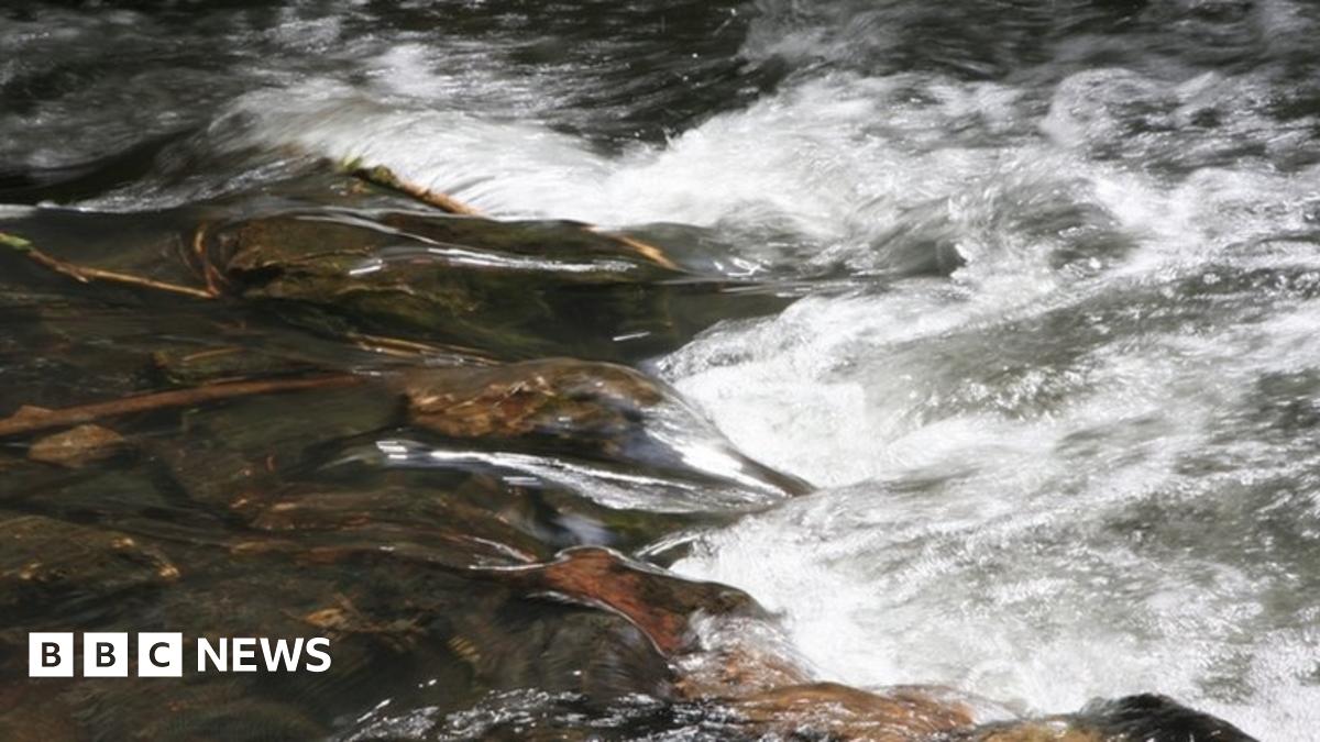 River Tees tributary pollution kills thousands of fish - BBC News