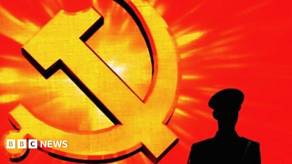 China: Cult following for police blogger - BBC News