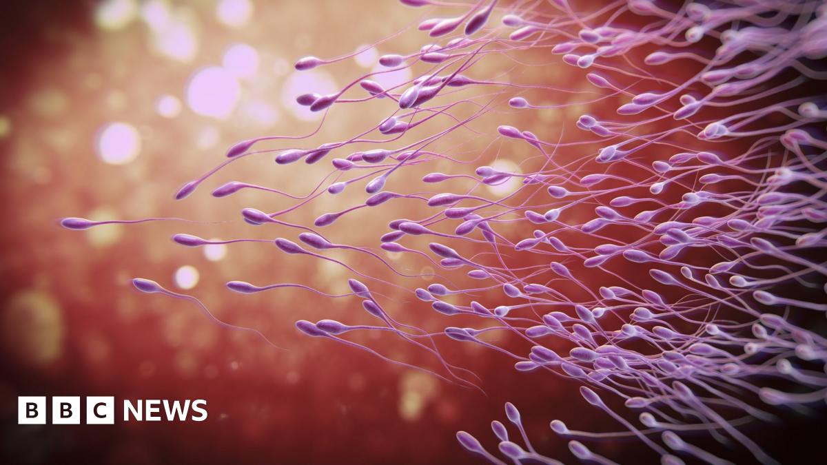 Frozen testicle 'live birth first' - BBC News