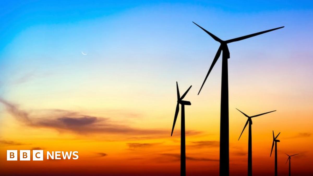 Harestanes wind farm near Moffat officially opens - BBC News