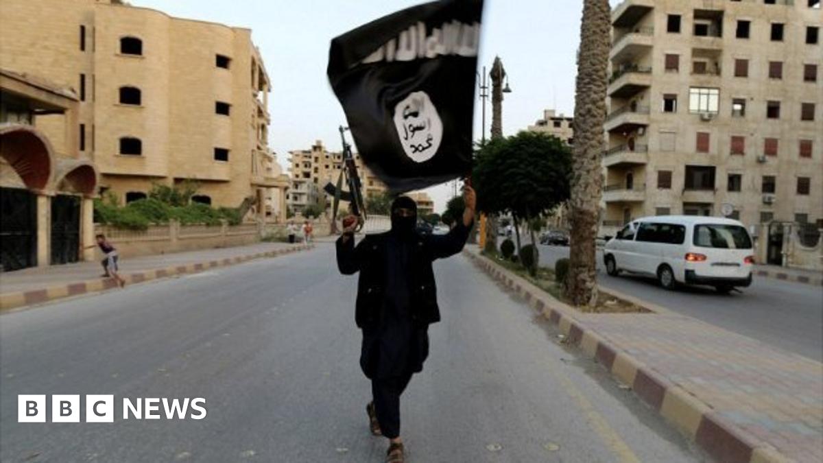 Isis leader calls on Muslims to 'build Islamic state' - BBC News