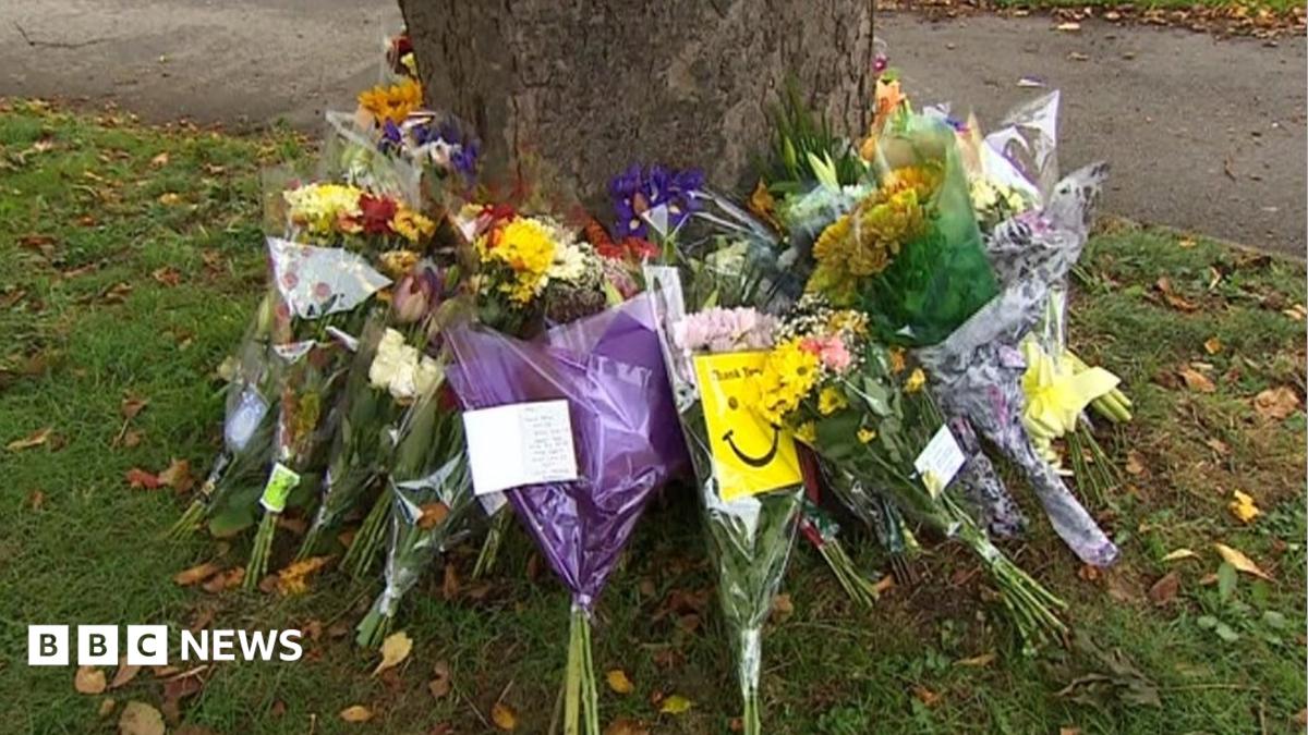 Jamie McMahon case: Murder accused 'threatened with sword' - BBC News