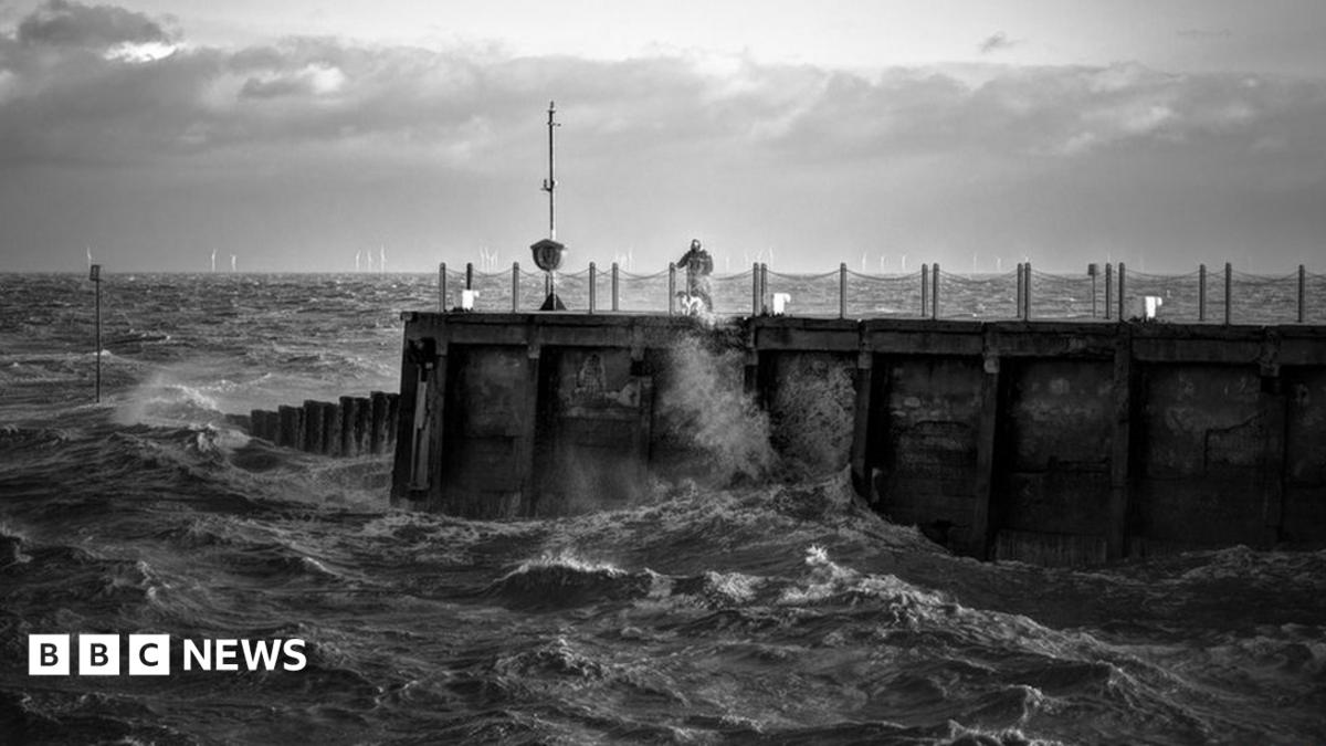 In pictures: A year in the life of Whitstable - BBC News