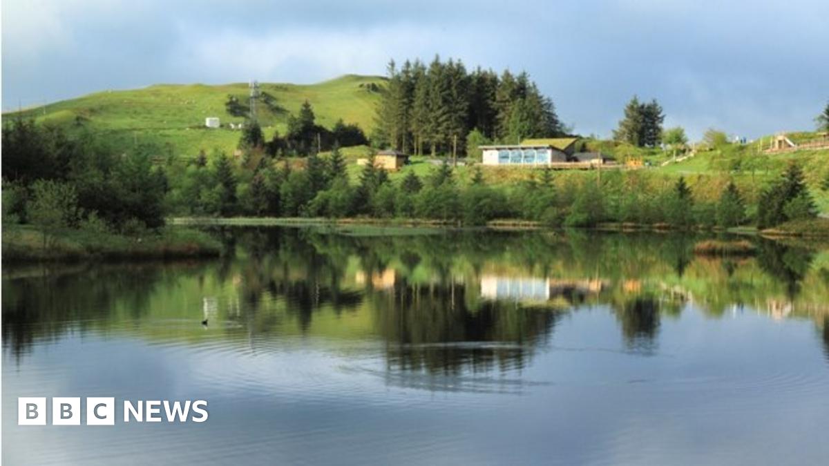 Bwlch Nant yr Arian tree disease planting 'rebirth' - BBC News