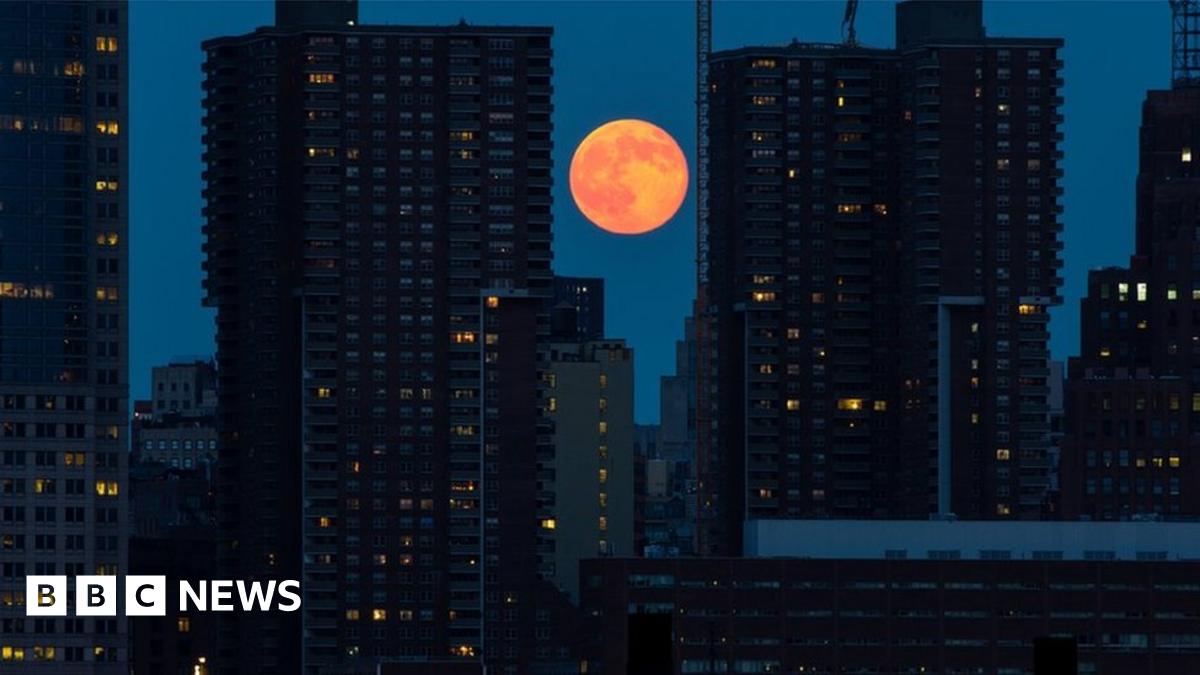 Supermoon: Your pictures of the perigee Moon - BBC News