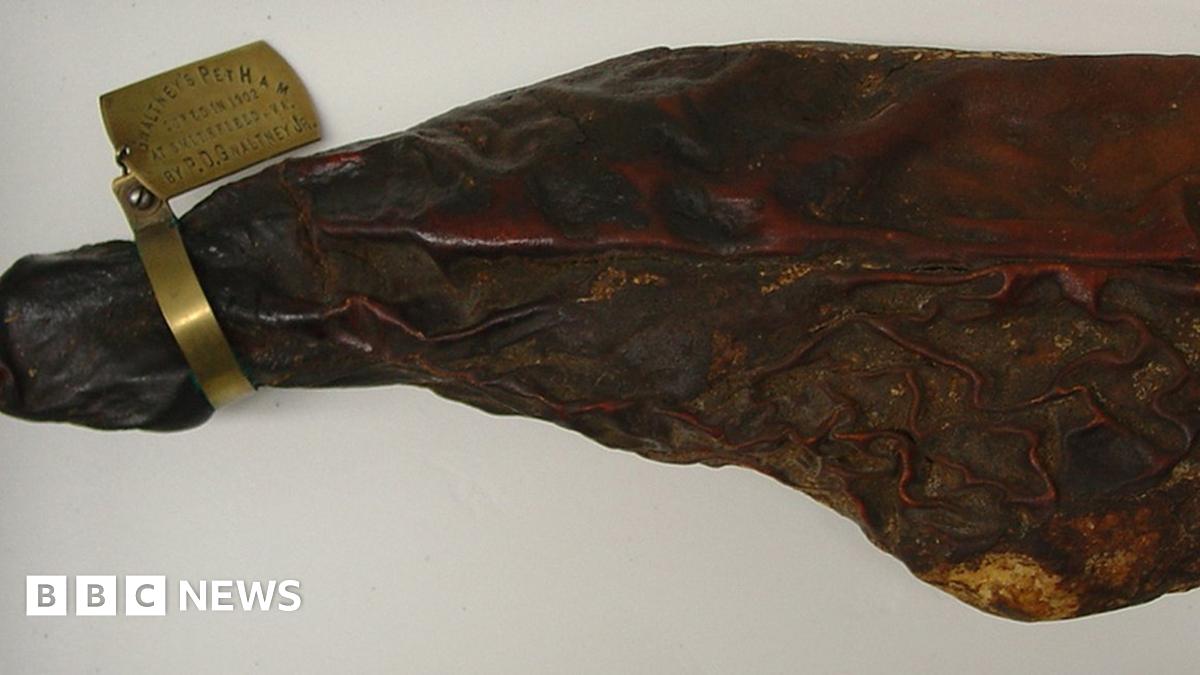 Who, what, why: What happens if you eat 112-year-old ham? - BBC News