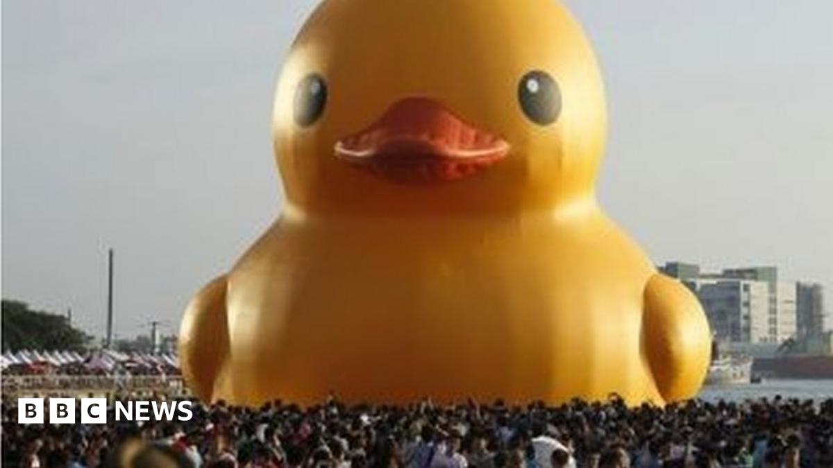 China: Giant yellow rubber duck swept away in flood - BBC News