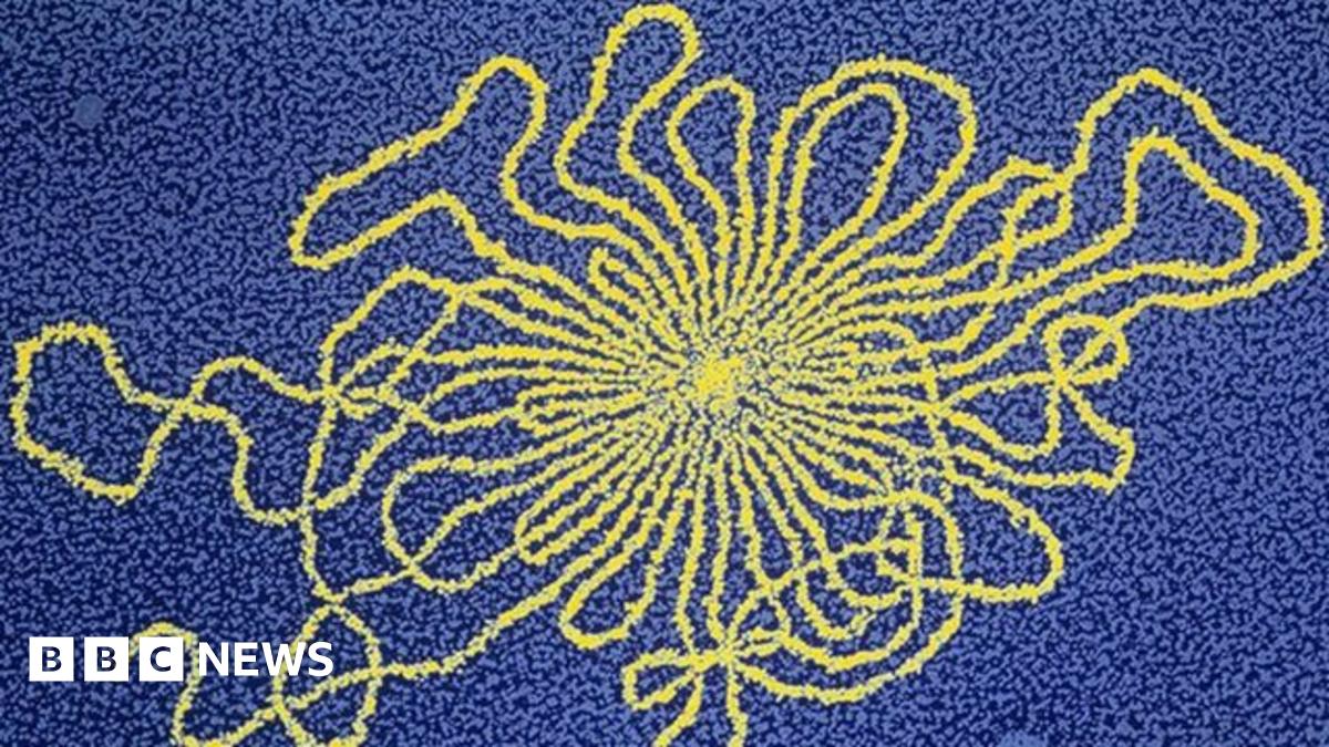 Newly-found gut virus 'abundant in humans' - BBC News