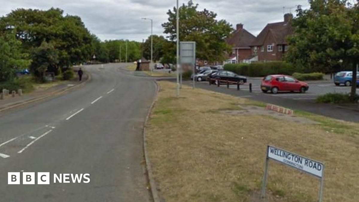 Fire in Wellington Road, Donnington, kills woman and dog - BBC News