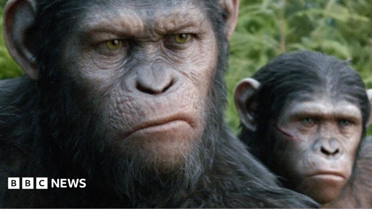 Dawn of the Planet of the Apes continues UK reign - BBC News
