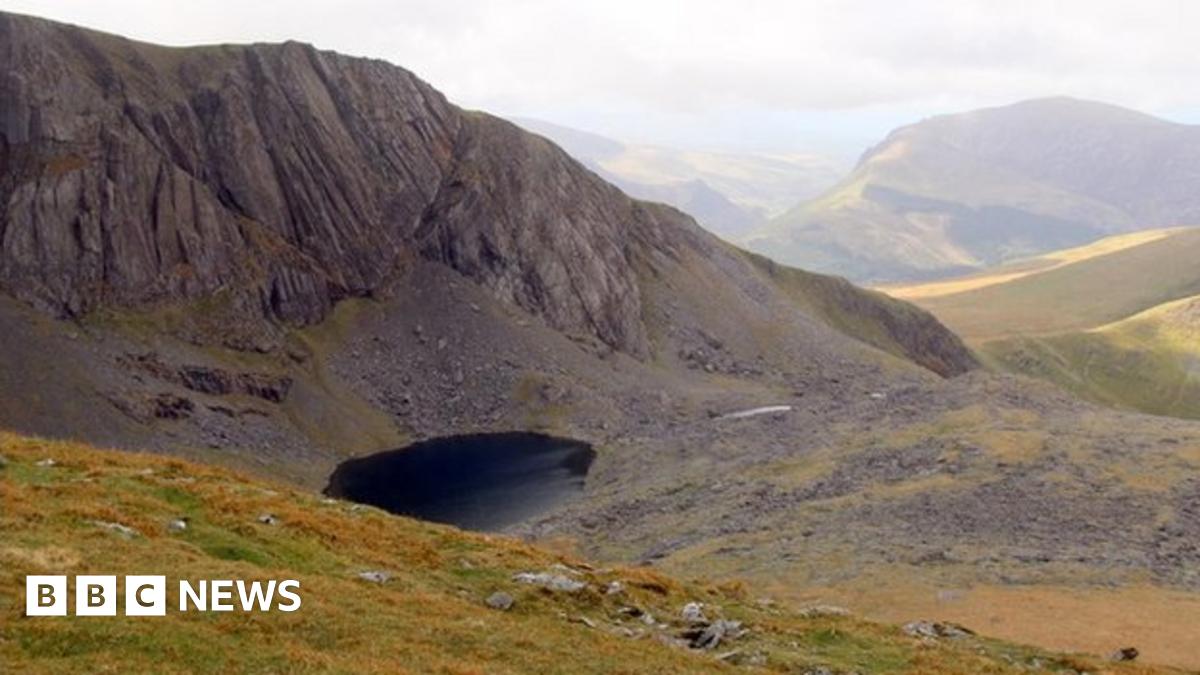 Snowdon land sale considered by farmer - BBC News