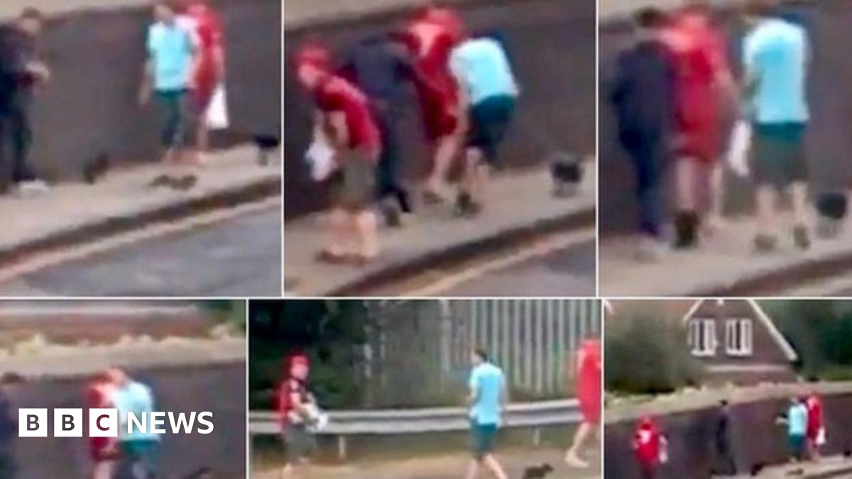 Chihuahua swing case: Hatfield man Alfie Loft charged with animal ...