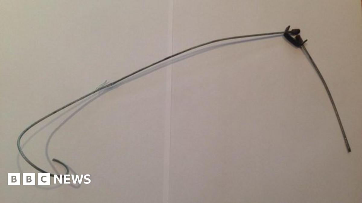 Cat survives five-day ordeal trapped in illegal snare - BBC News