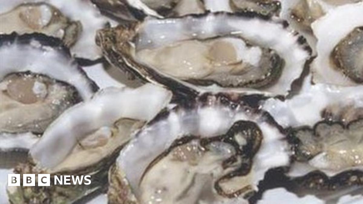 Cornwall shellfish farms closed amid sewage fears - BBC News