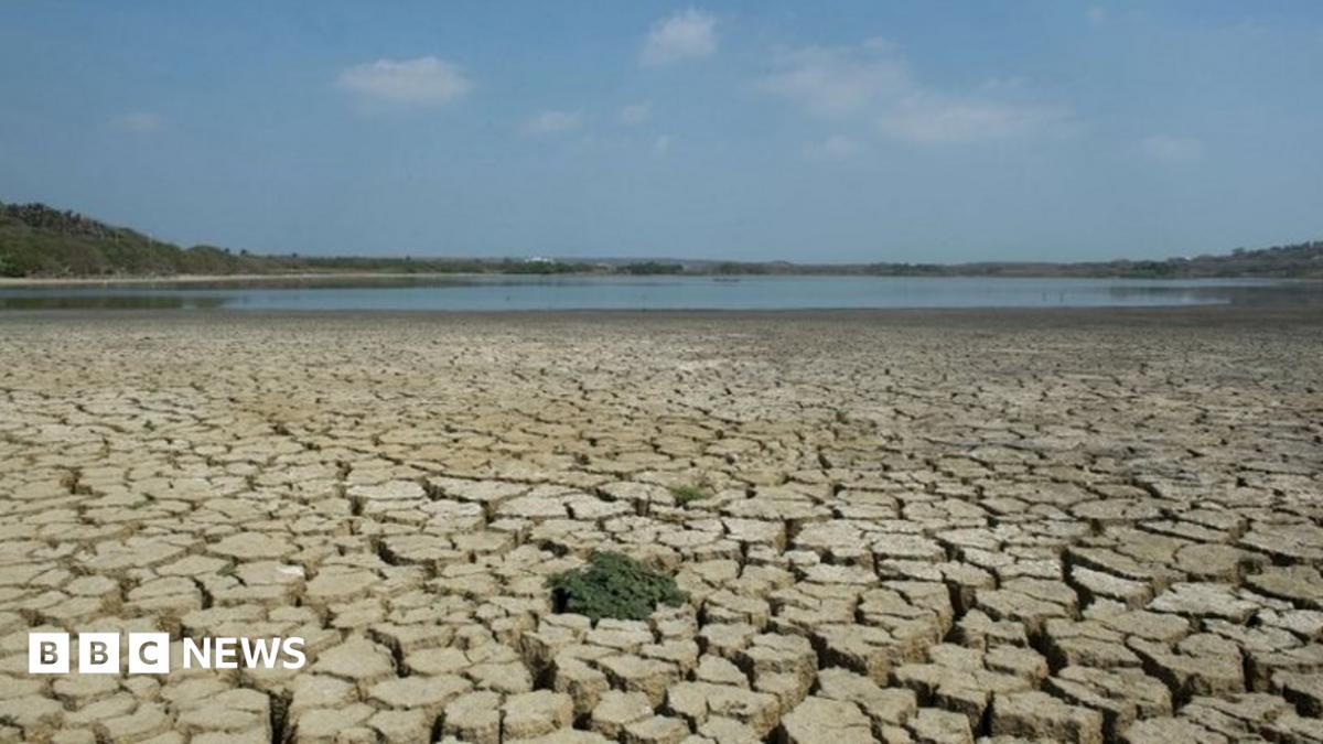 Colombia drought triggers clashes in La Guajira province - BBC News