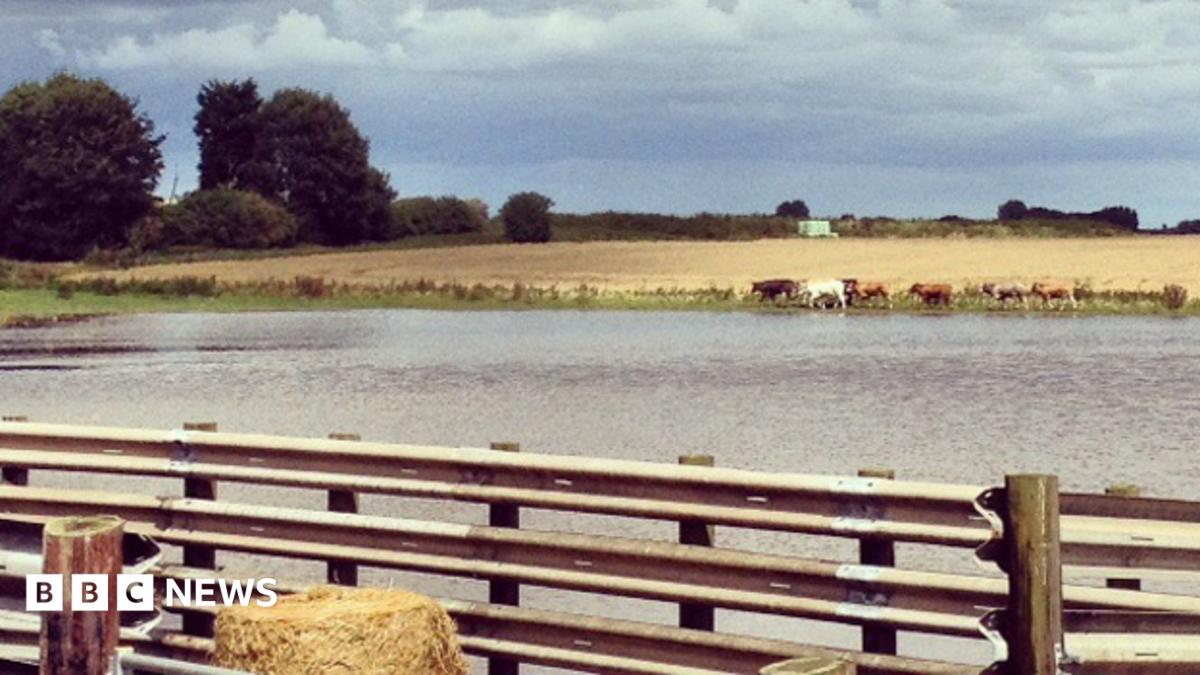 Environment Agency denies faulty gate caused Humber farm flood - BBC News